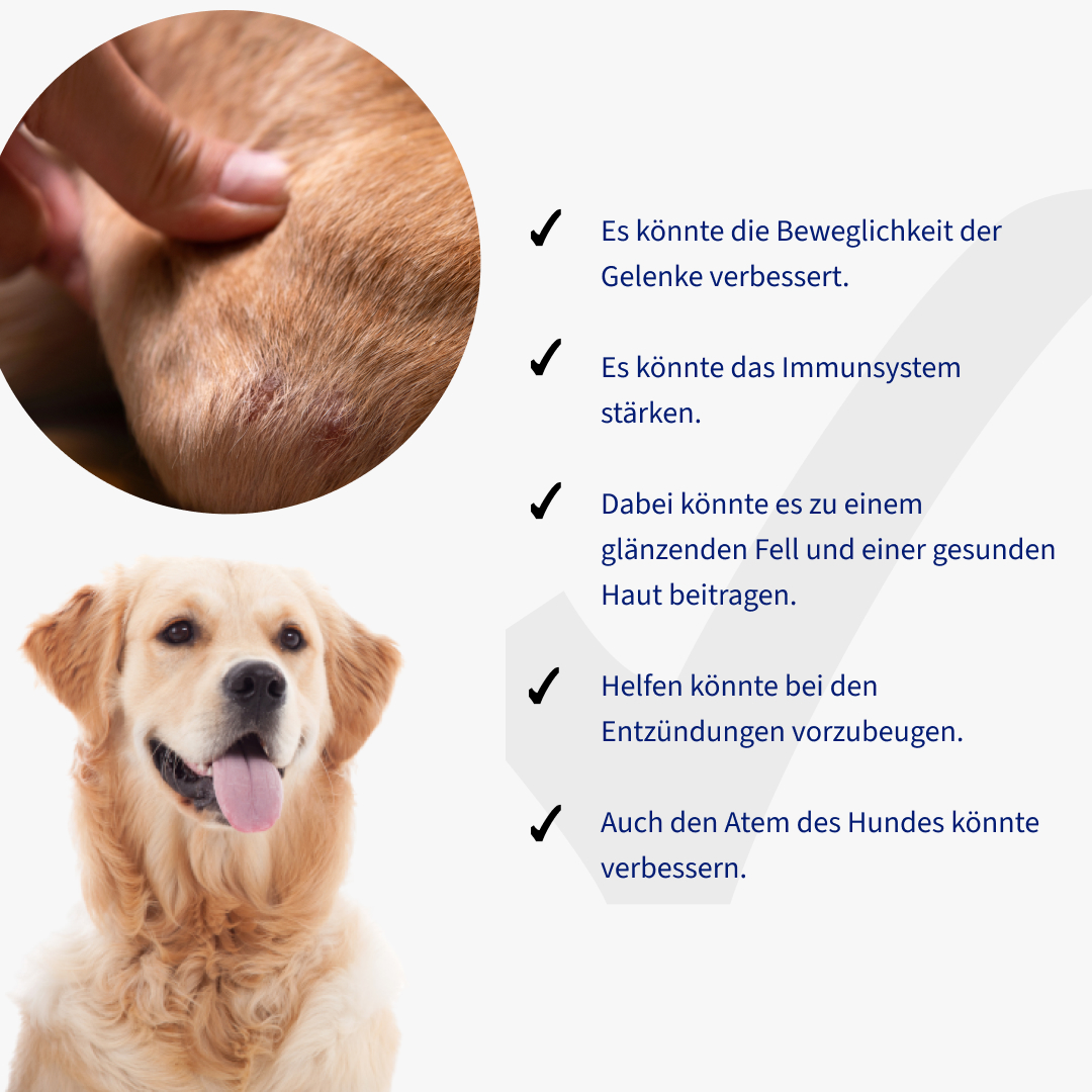 Canine Booster - Petsy Labs